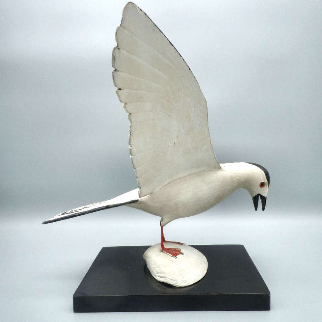 WOOD CARVED & PAINTED COMMON TERN – American Antiques