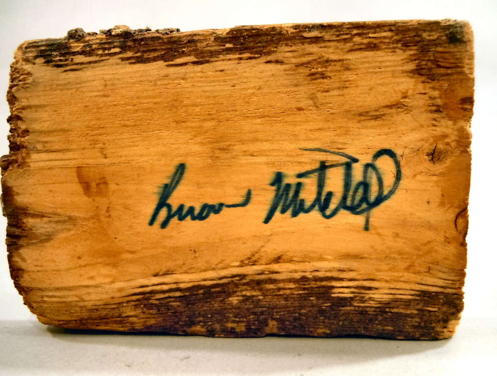 B. Mitchell – SHOREBIRD – American Antiques