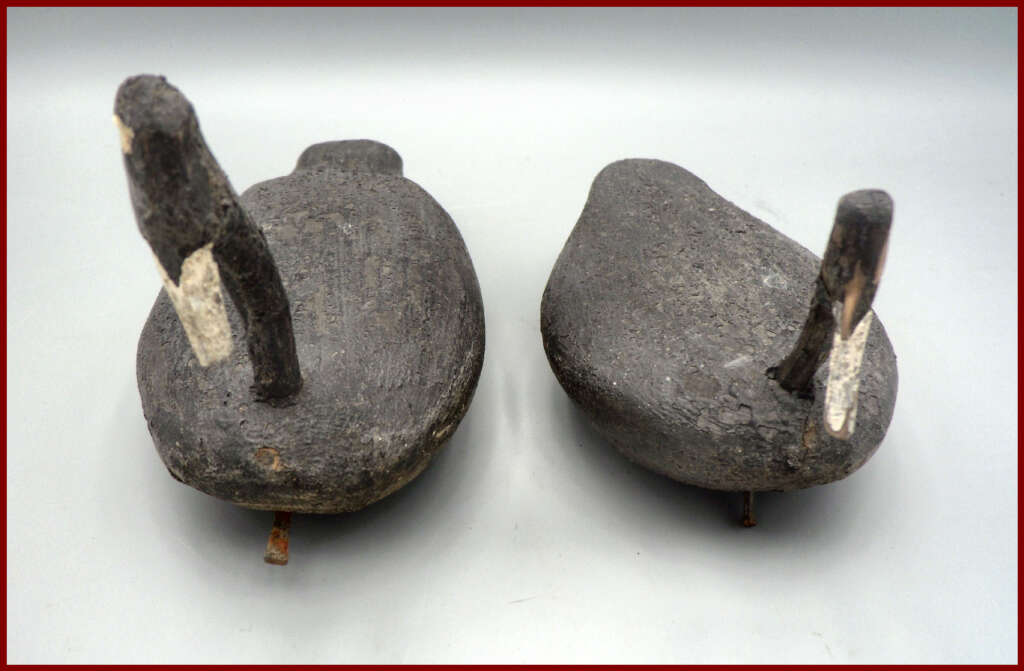 PAINTED ROOT HEAD COOT DECOYS – American Antiques