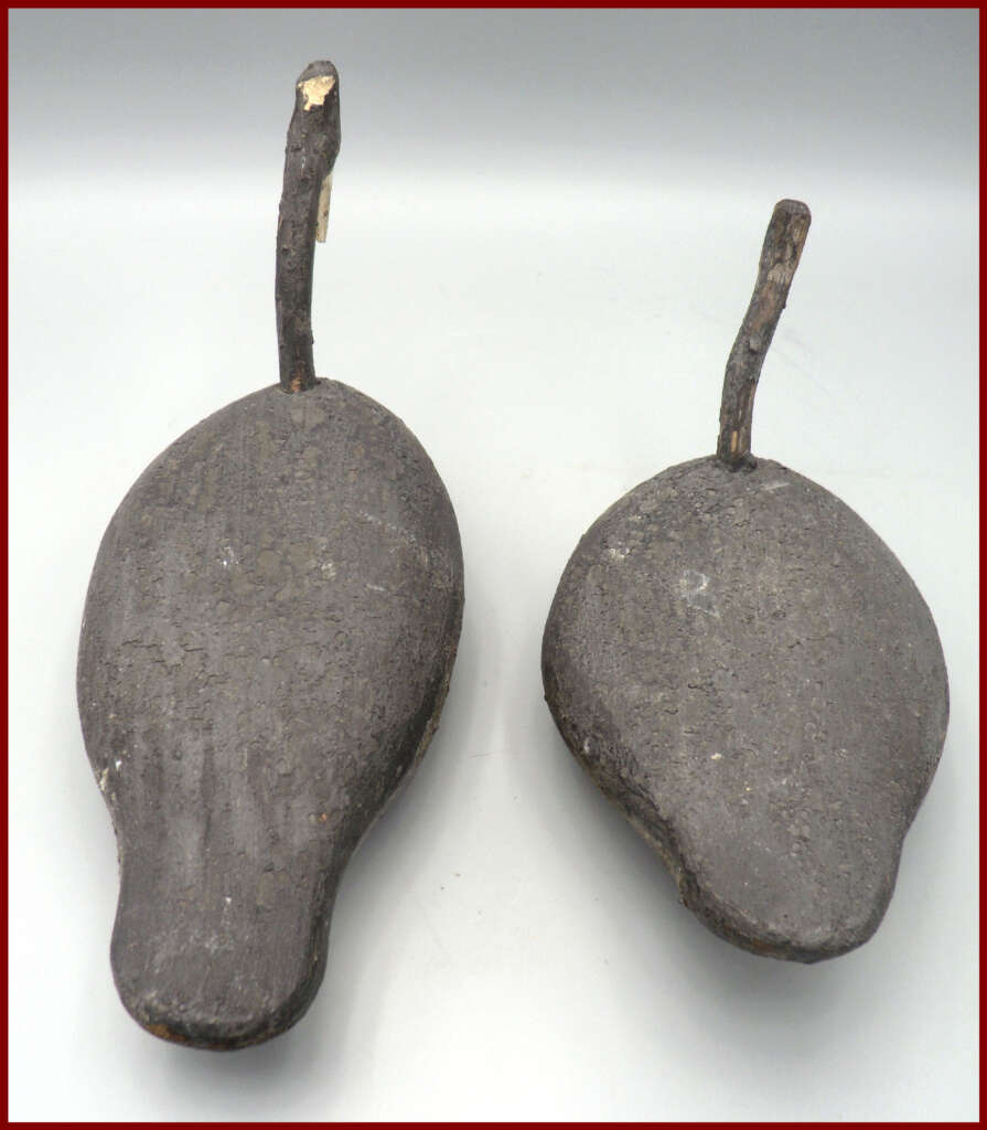 PAINTED ROOT HEAD COOT DECOYS – American Antiques